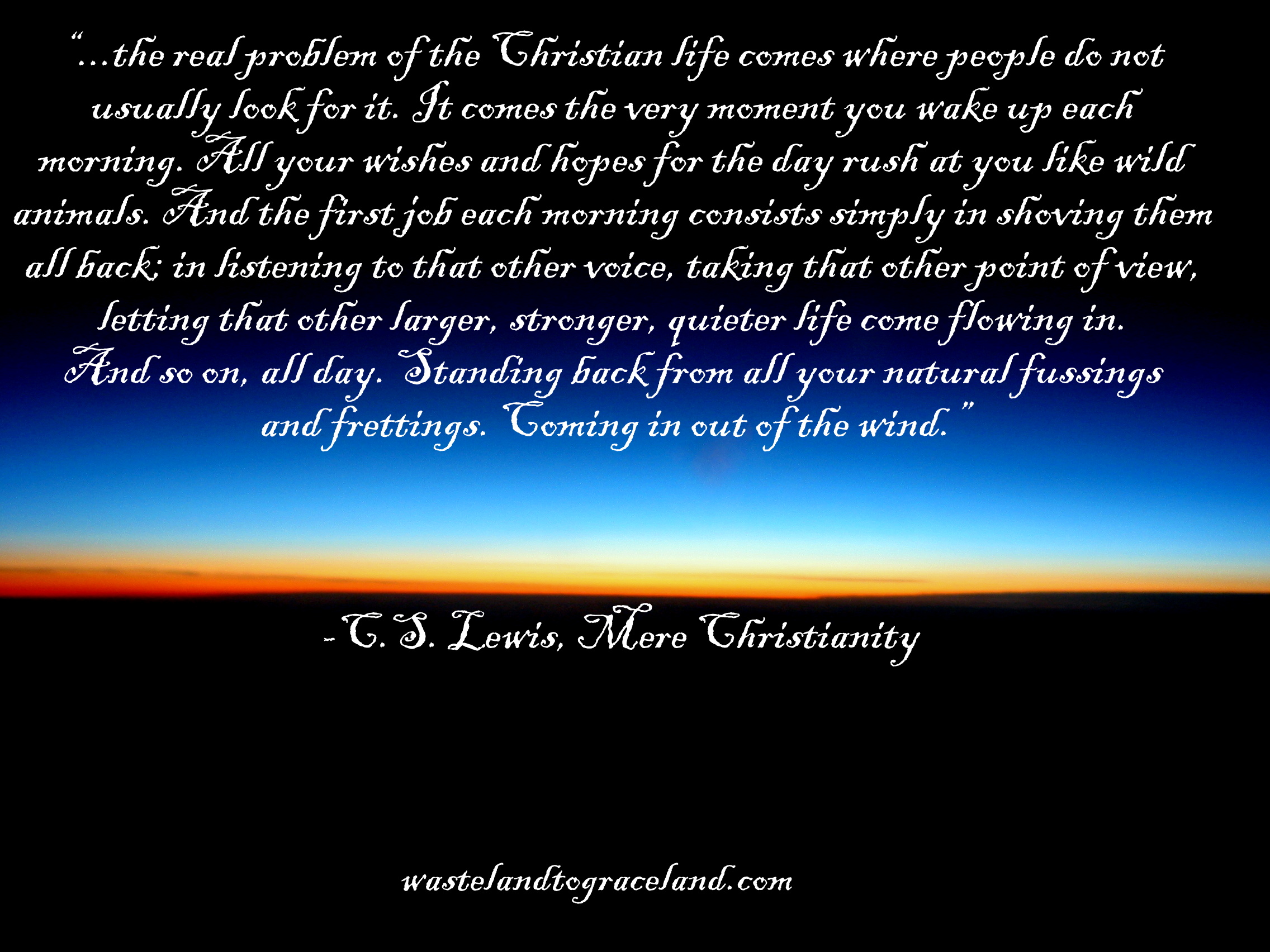 The Real Problem of the Christian Life | Amy Lynne Jung